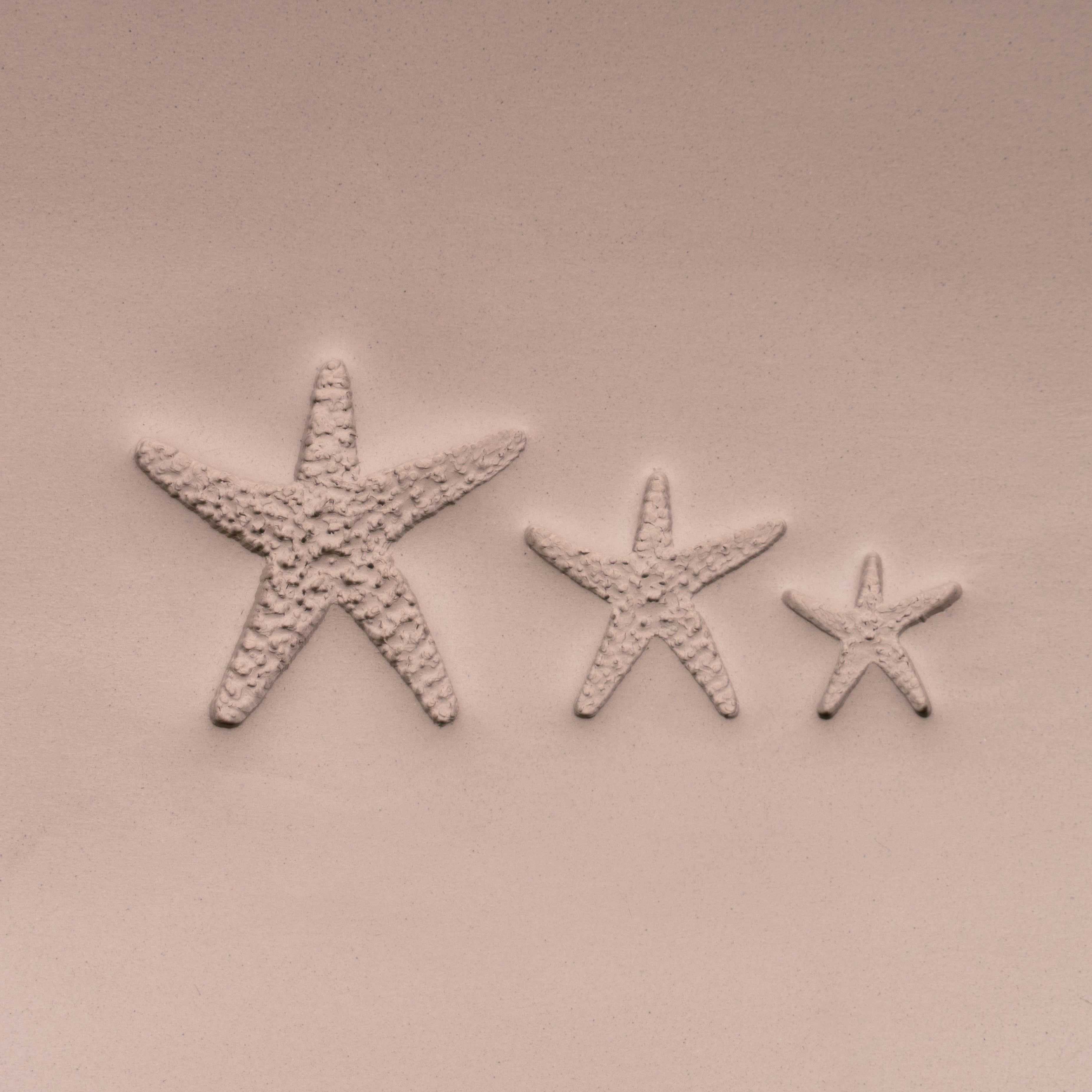 Starfish Stamp - Photo Textured - Style #1 – Ceramind® Tools
